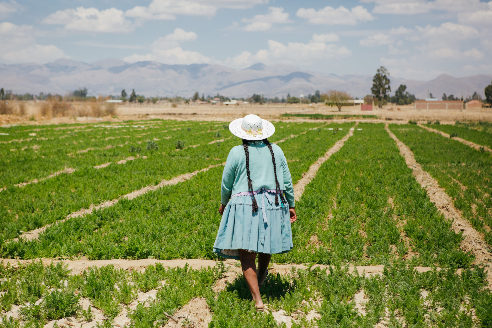 Livelihoods | Water and Economic Opportunity